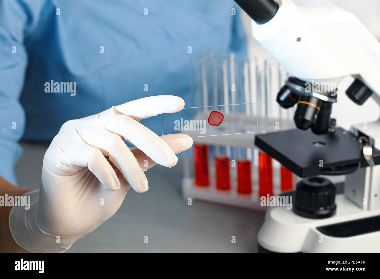 Histopathology slide hi-res stock photography and images - Alamy