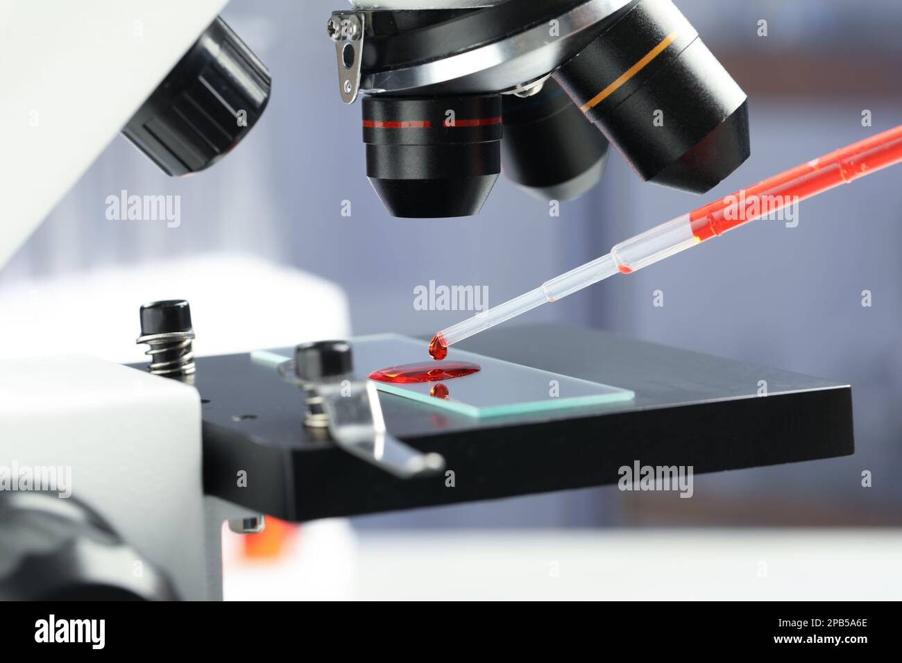 Dripping sample of red liquid onto slide under microscope in laboratory ...