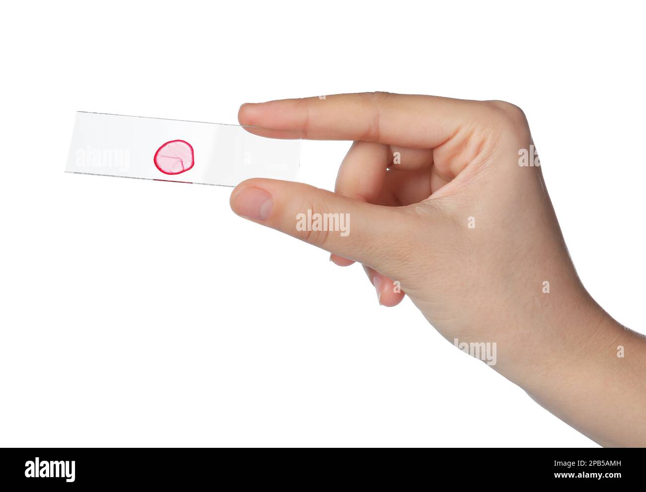 Woman holding microscope slide with sample on white background, closeup ...