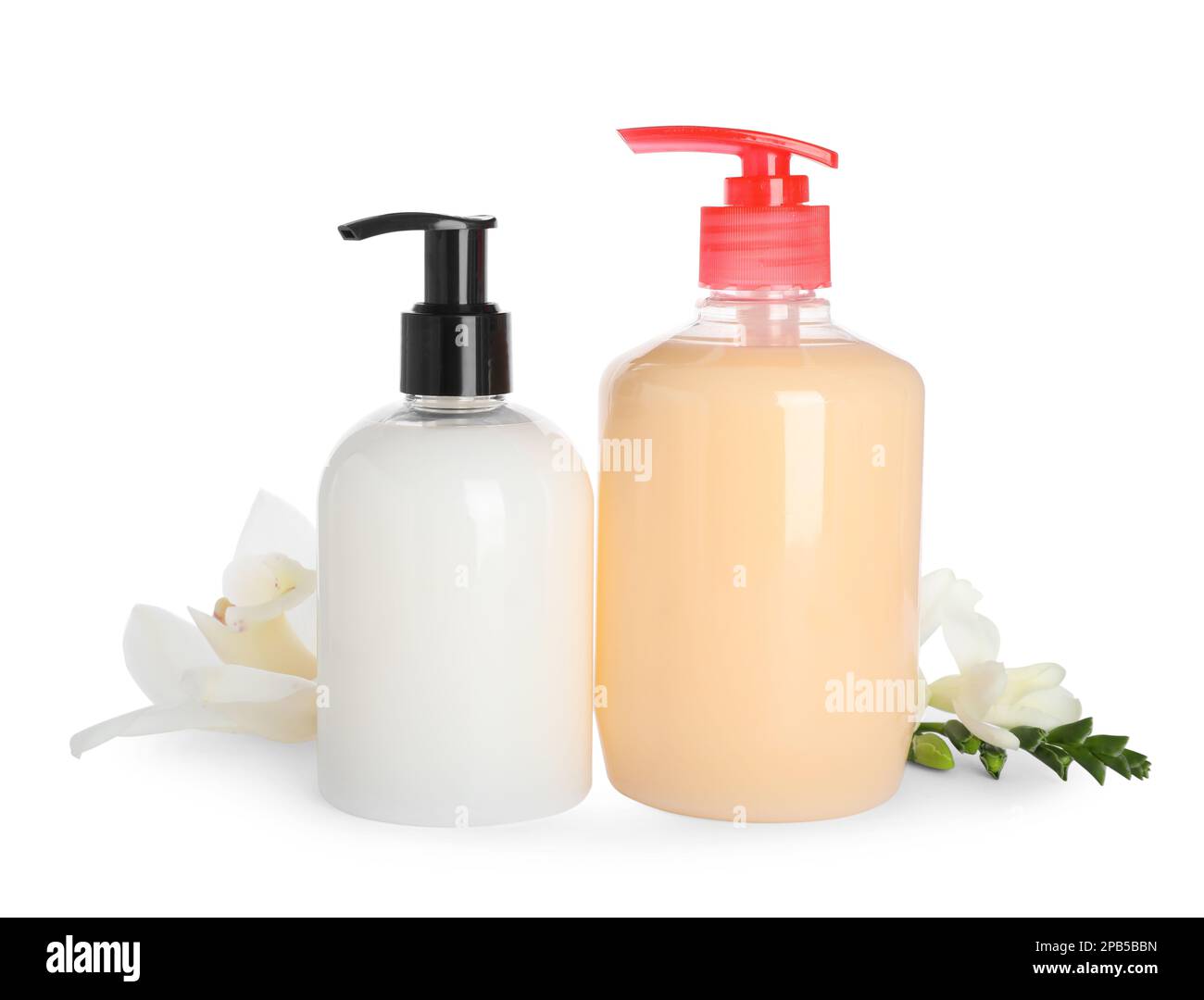 Dispensers with liquid soap and beautiful flowers on white background ...