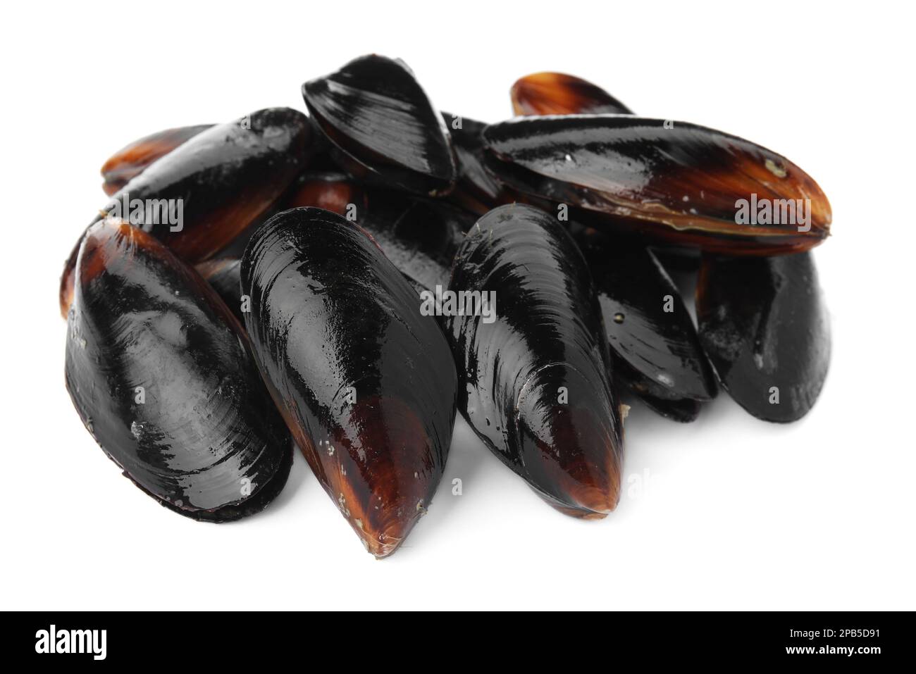 Heap of raw mussels in shells on white background Stock Photo - Alamy