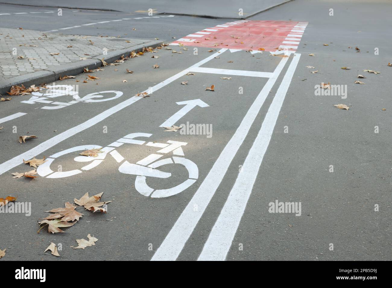 Two way bicycle lane with white signs on asphalt Stock Photo - Alamy