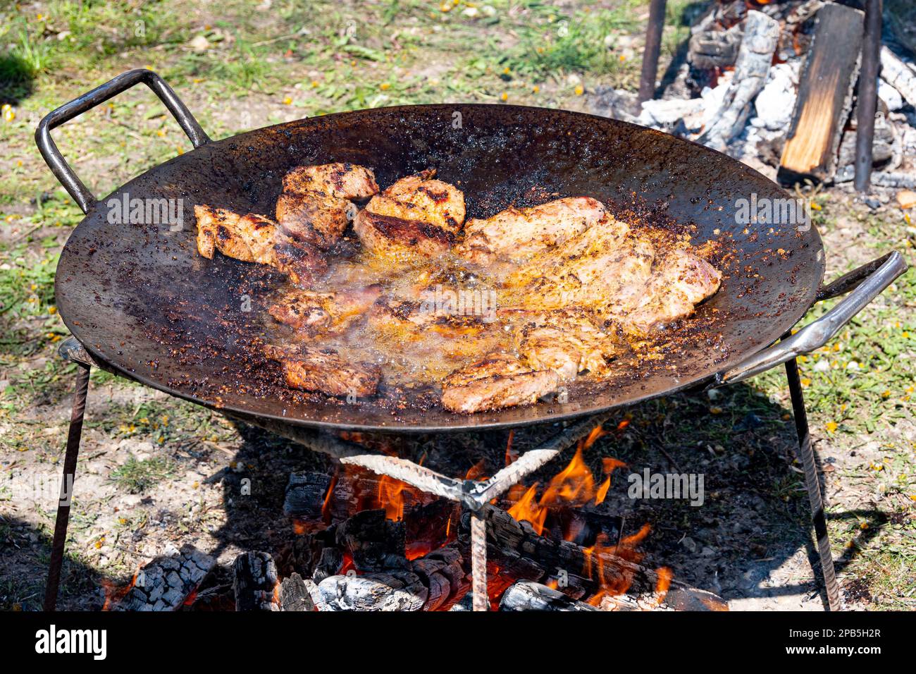 Meat roasting on a metal disc outdoors over a fire Stock Photo - Alamy