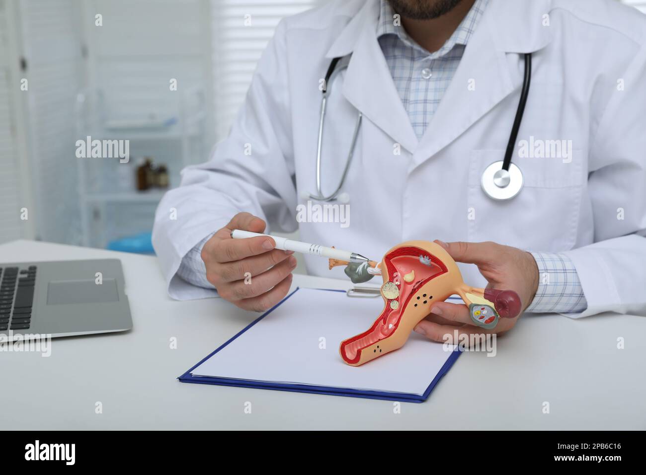 Gynecologist Demonstrating Model Of Female Reproductive System In