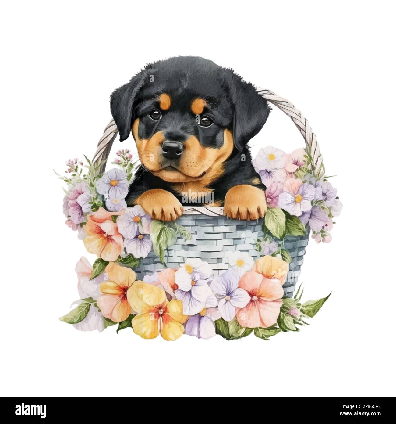 Newborn Rottweiler Puppy