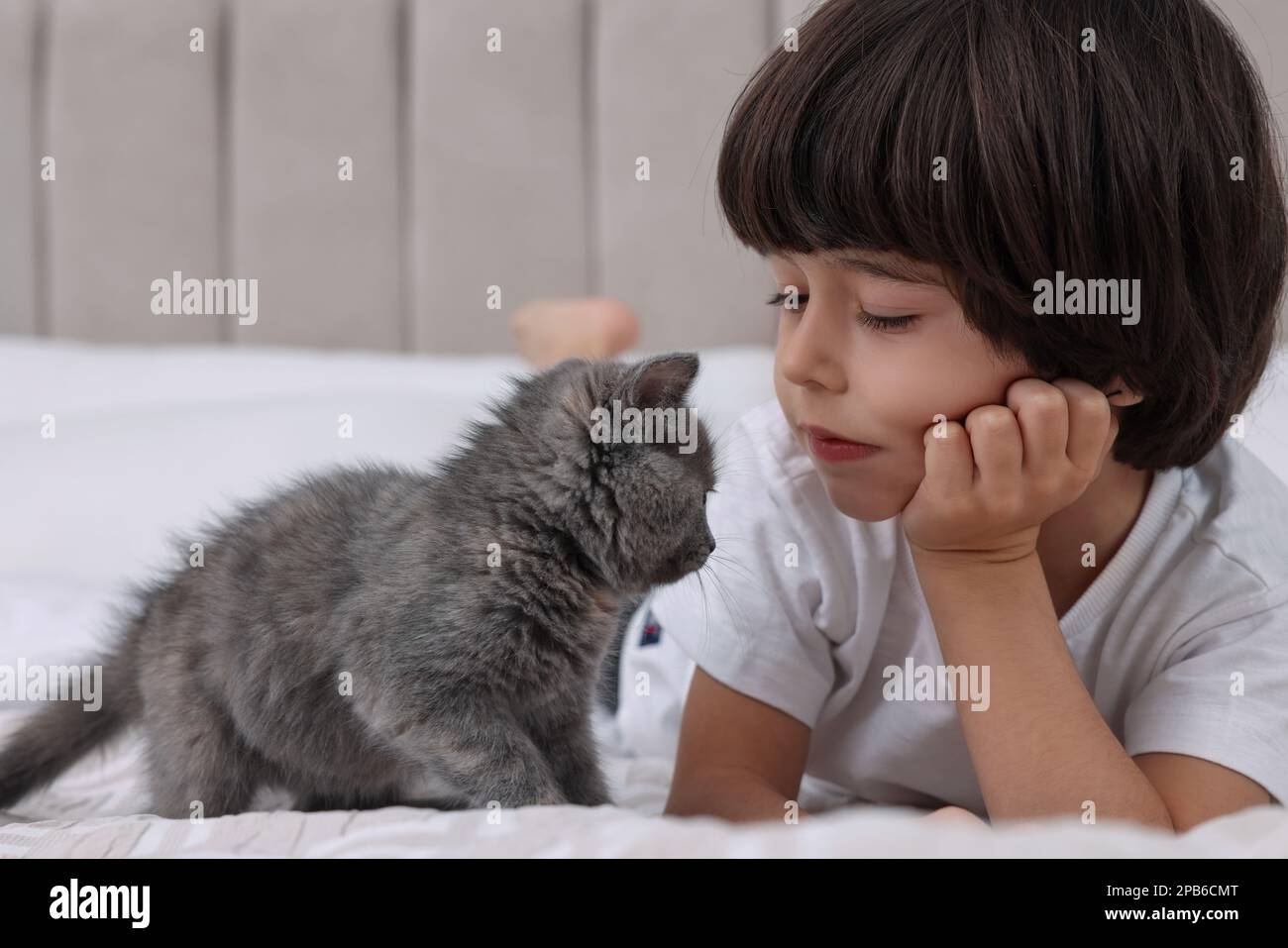 Cute little boy with kitten on bed. Childhood pet Stock Photo - Alamy