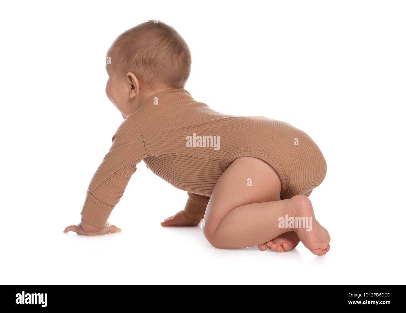 Cute little baby crawling on white background Stock Photo - Alamy