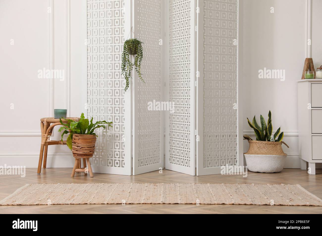 Folding screen and beautiful houseplants near white wall in room ...
