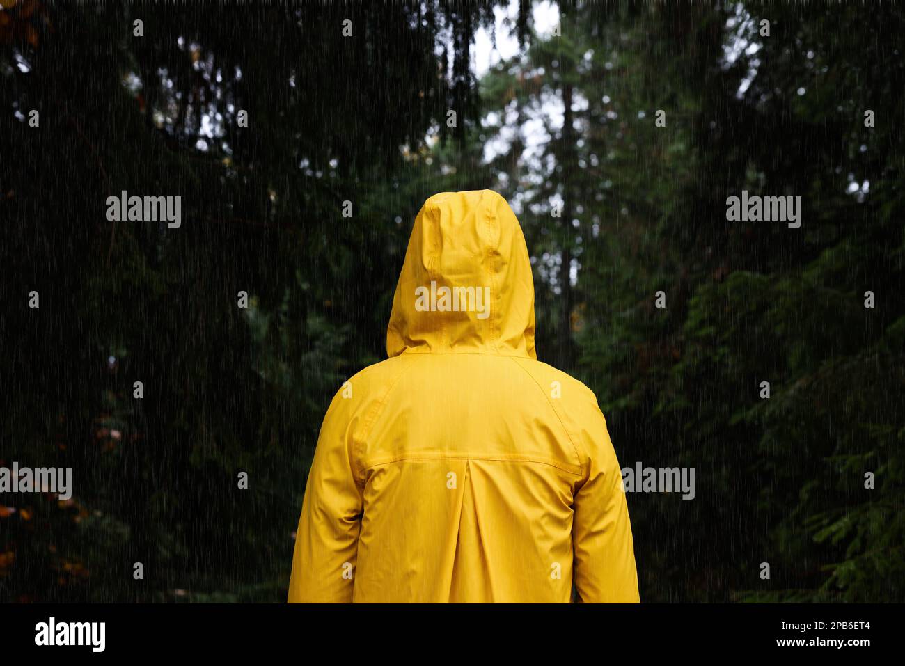 Back view woman in protective hi-res stock photography and images - Alamy