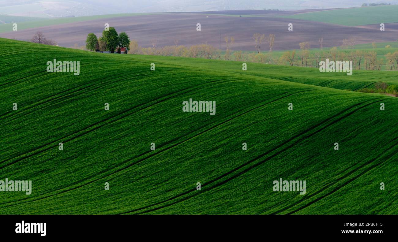 green hills in moravia Stock Photo - Alamy