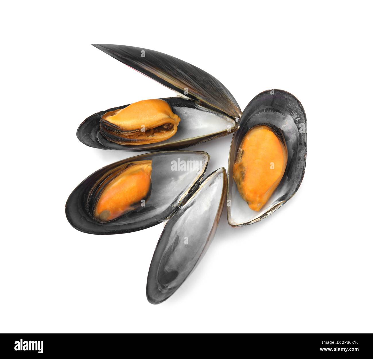 Delicious cooked mussels in shells on white background, top view Stock ...