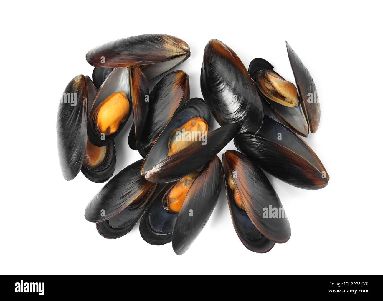 Delicious cooked mussels in shells on white background, top view Stock ...