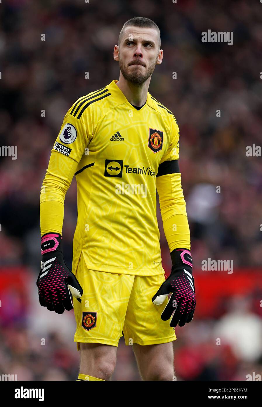 Manchester United goalkeeper David de Gea during the Premier League ...