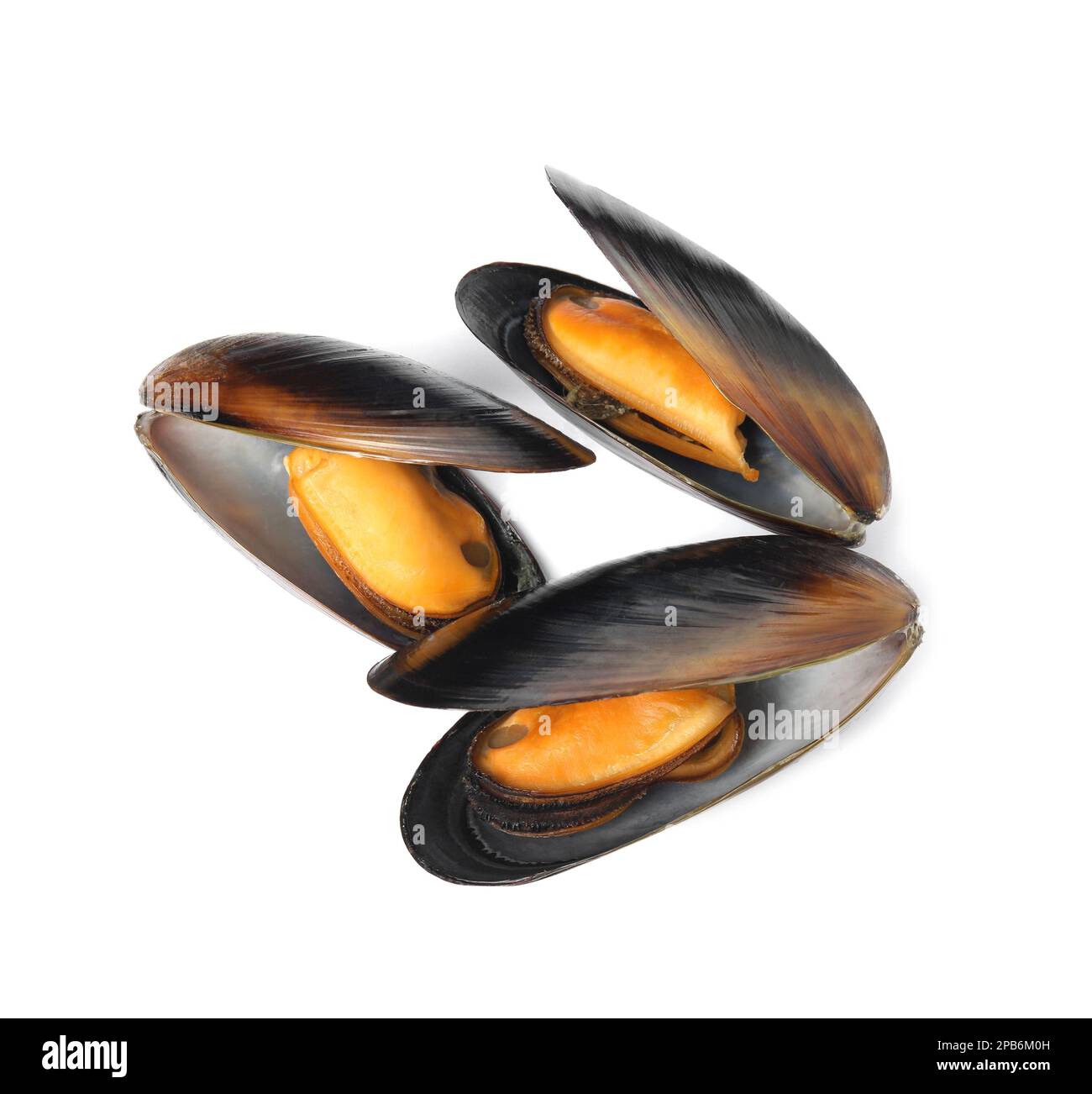 Delicious cooked mussels in shells on white background, top view Stock ...
