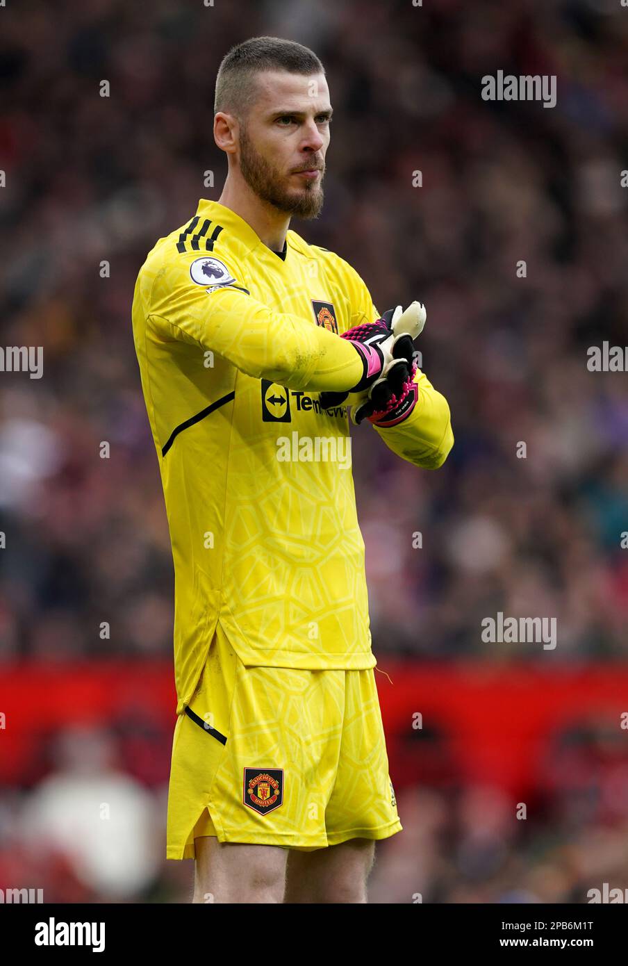 Manchester United goalkeeper David de Gea during the Premier League ...
