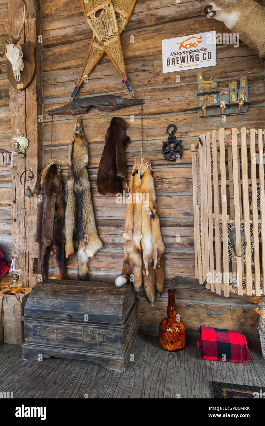 Old piece sur piece log wall decorated with antique objects, fur pelts ...