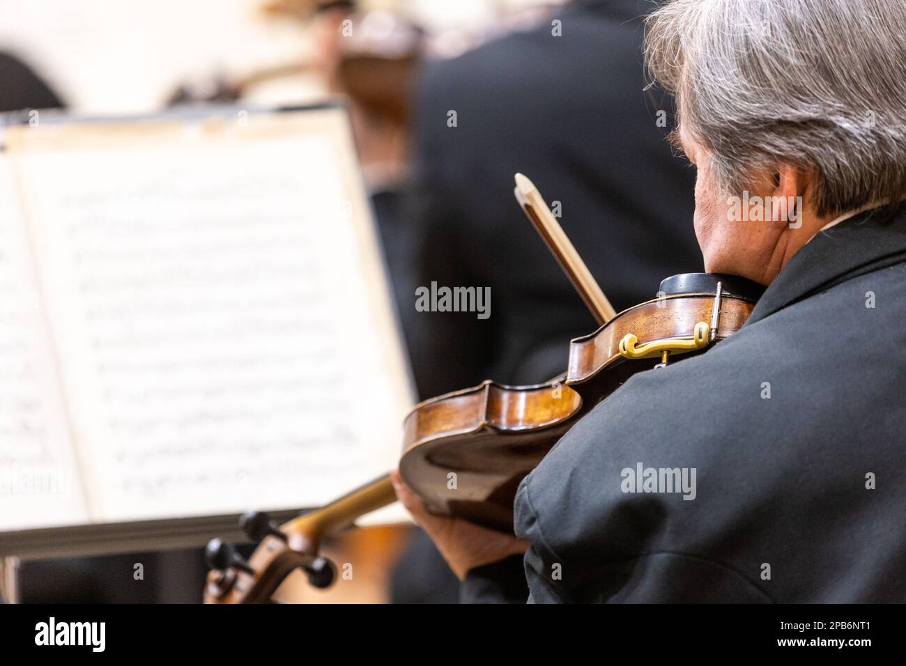 Professional symphonic string orchestra performing on stage and playing ...