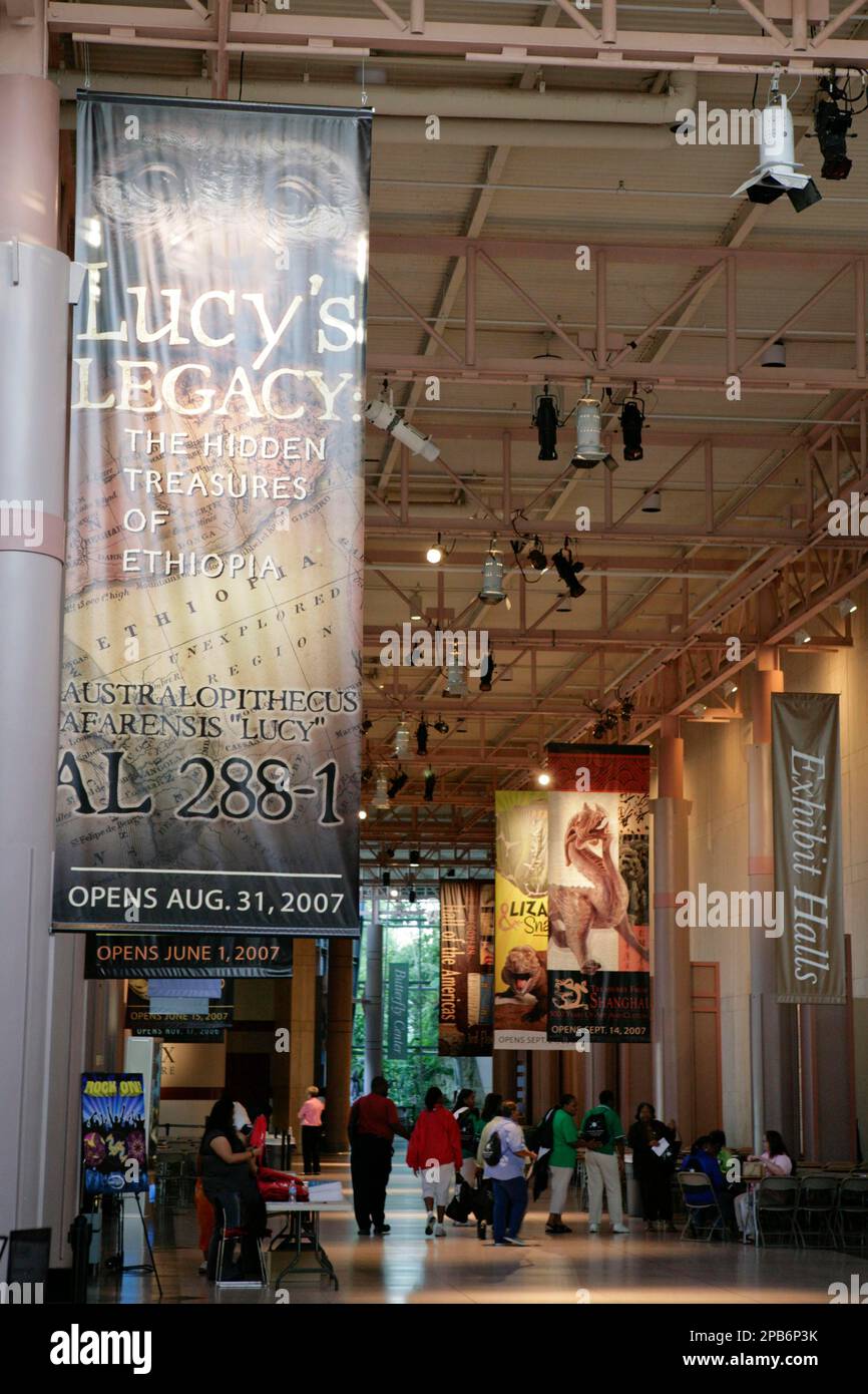 Banners for the "Lucy's Legacy" exhibit hang at the Houston Museum of ...