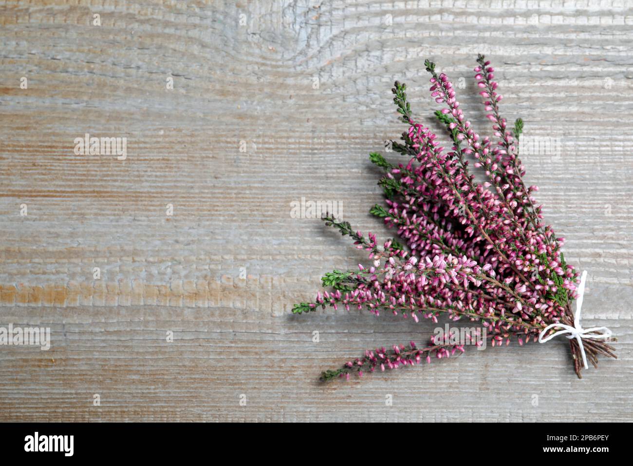 Bunch of heather branches with beautiful flowers on grey wooden table ...