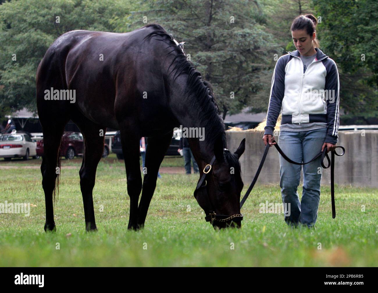 Hot walker Neleigh Olson attends to Street Sense after his morning ...