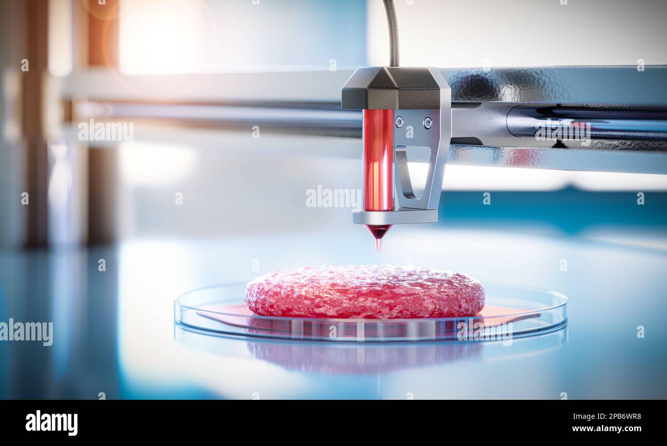 Beef meat 3d printing concept. Hamburger cutlet shape - New ...