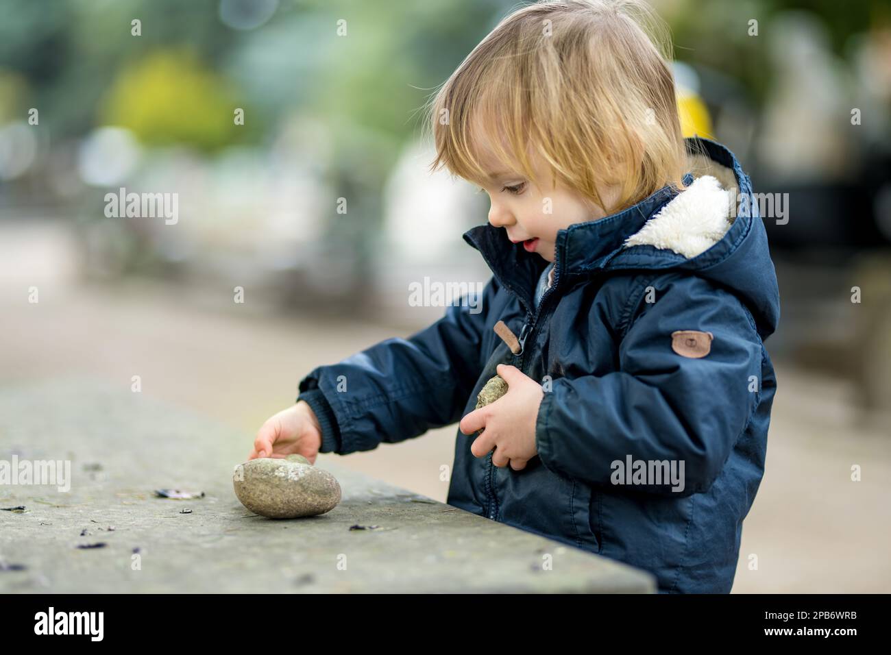 Cute toddler boy playing with rocks and pebbles in Bergamo. Little ...