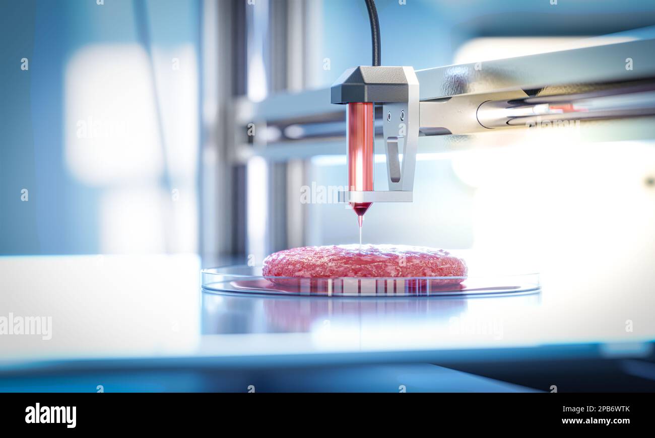 Beef Meat 3d Printing Concept Hamburger Cutlet Shape New