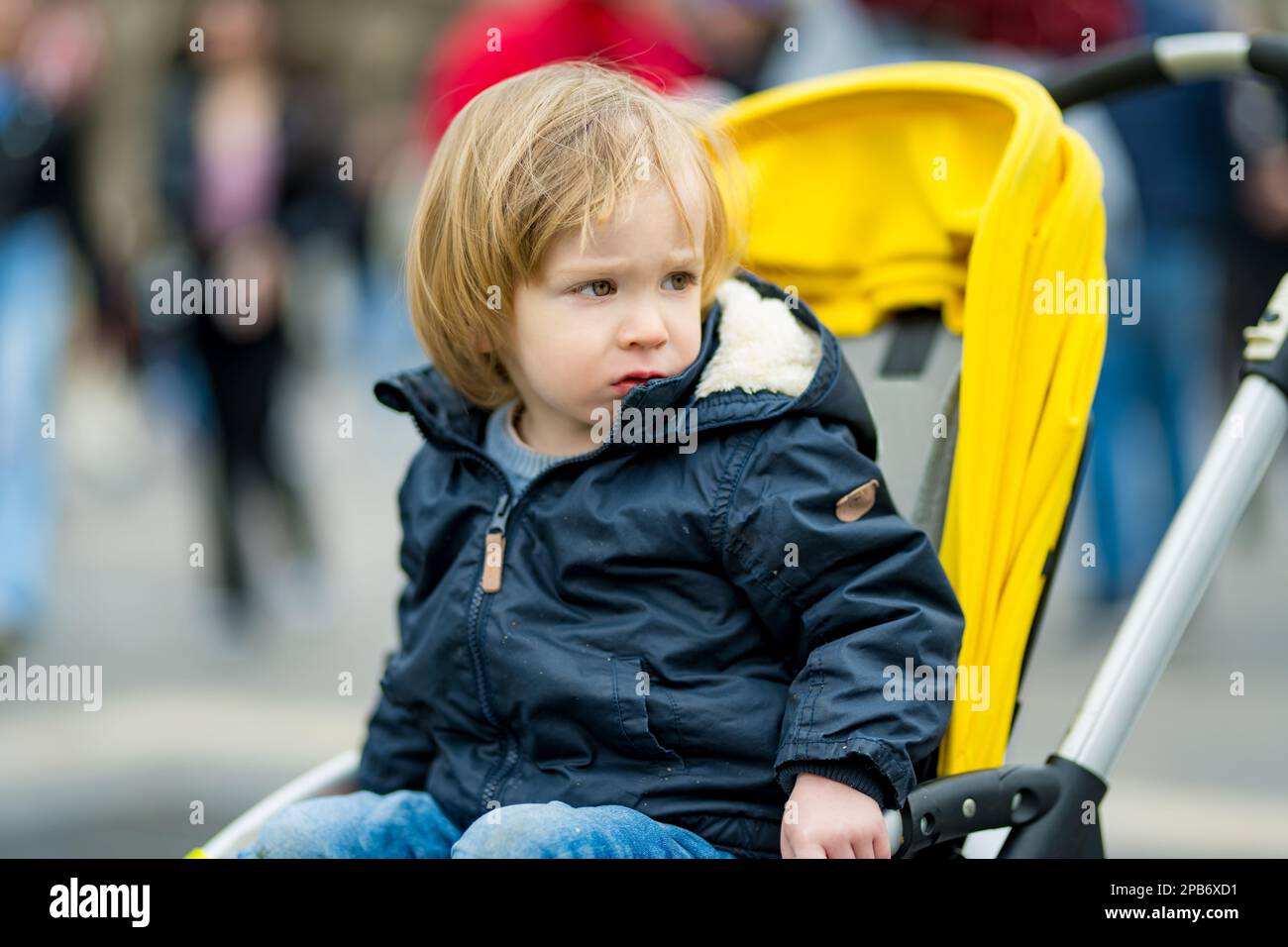 Sweet toddler boy sitting in a stroller outdoors. Little child in pram ...