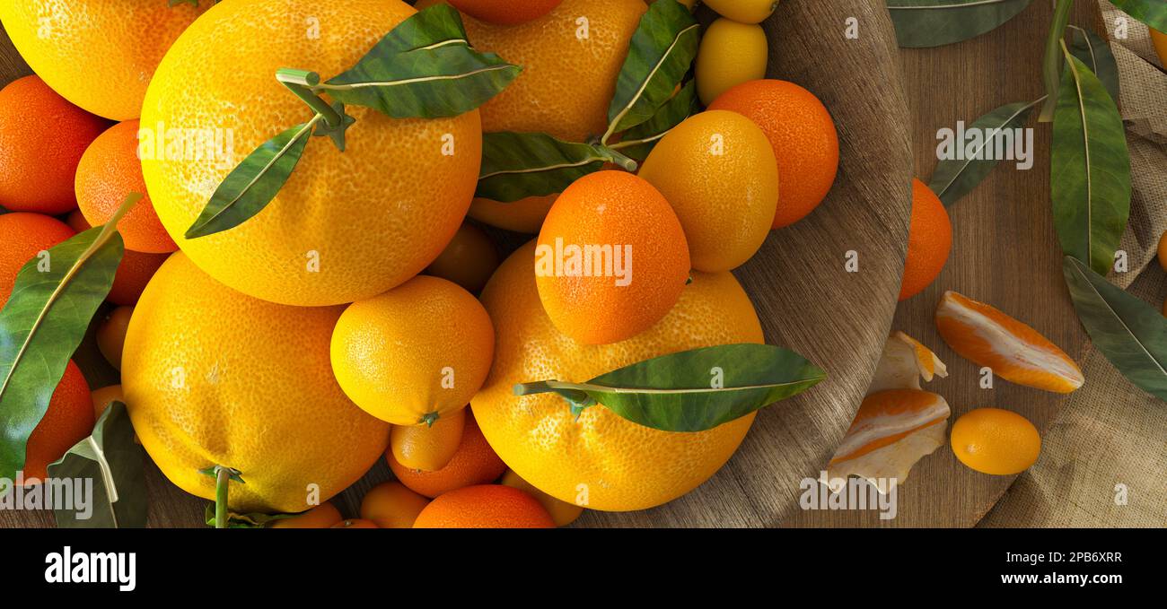 Fresh organic clementines picked with green leaves. Horizontal banner ...