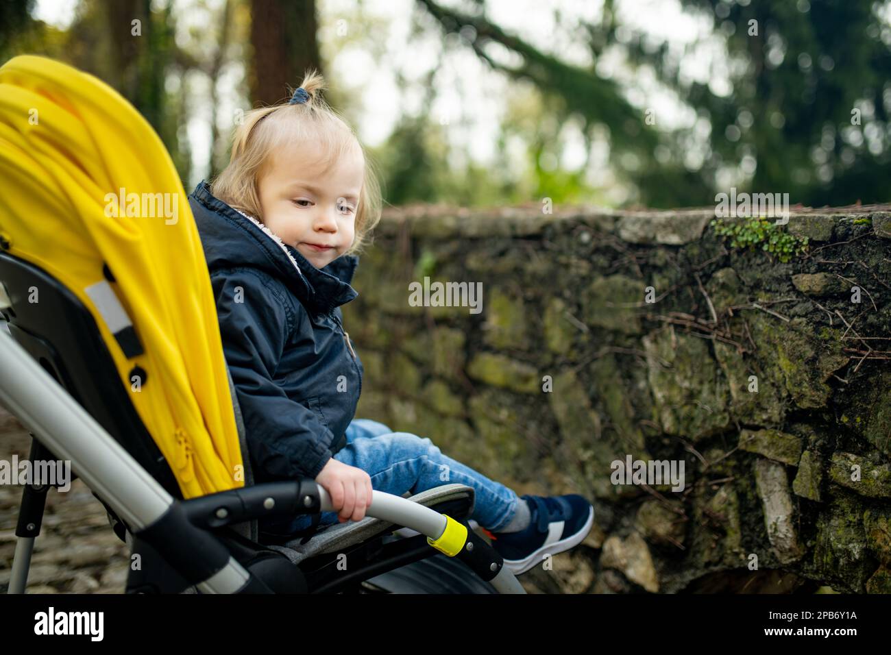 Sweet toddler boy sitting in a stroller outdoors. Little child in pram ...