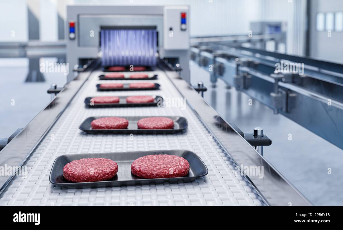 Conveyor in a factory of ready-made beef hamburger cutlets - a modern ...