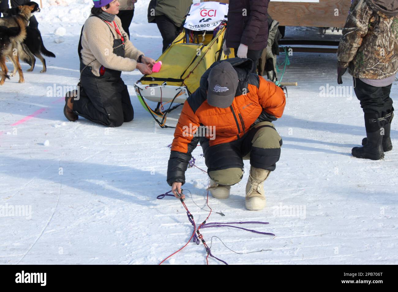Rookie musher Hunter Keefe inspects his ganglines before the official ...
