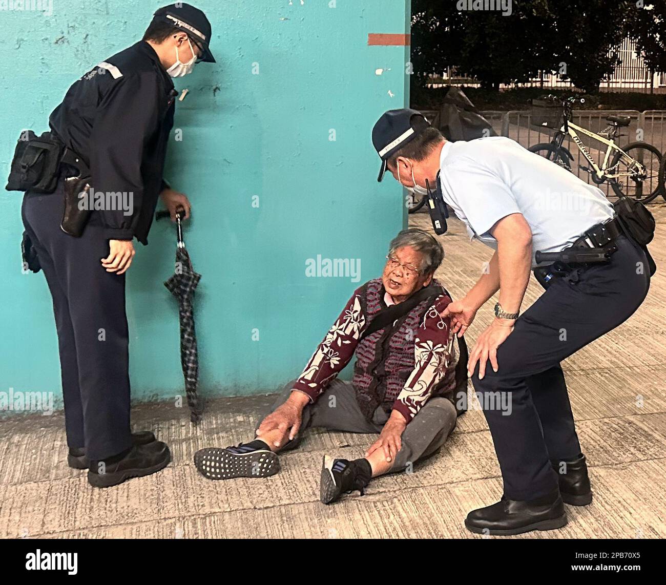 A 90-year-old licensed street hawker Chan Tak-ching had her roast ...