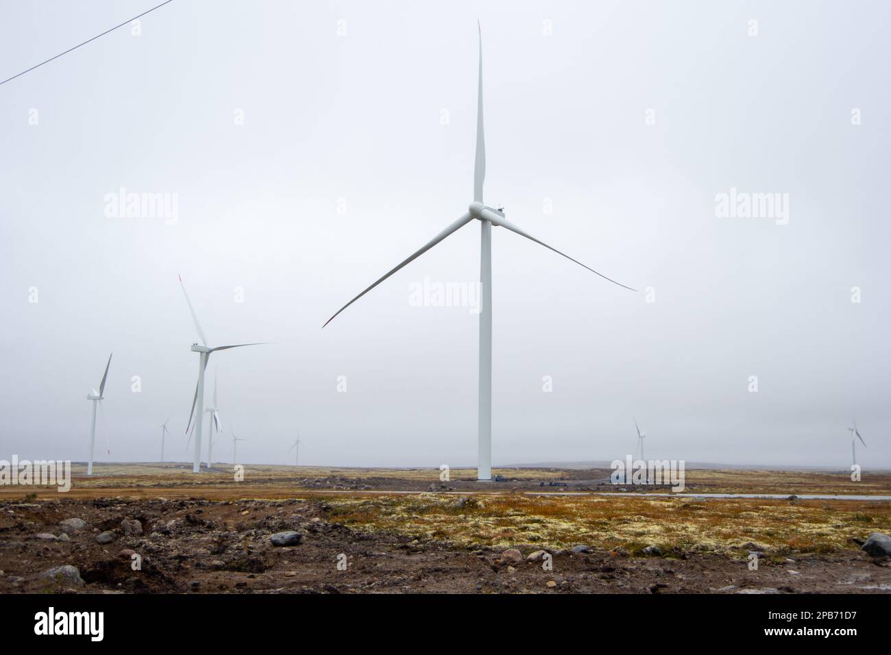 Wind turbines for generating electricity in the field on a cloudy windy ...