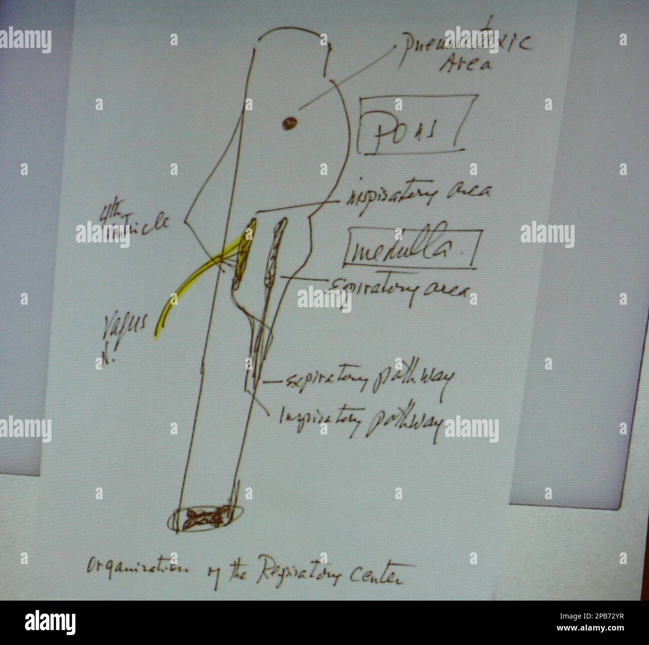 Phil Spector Lana Clarkson Crime Scene Photos