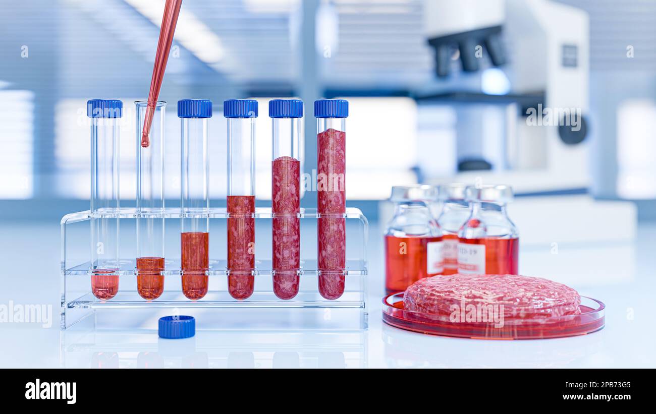 Beef grown in a laboratory in test tubes. The concept of in-vitro meat ...