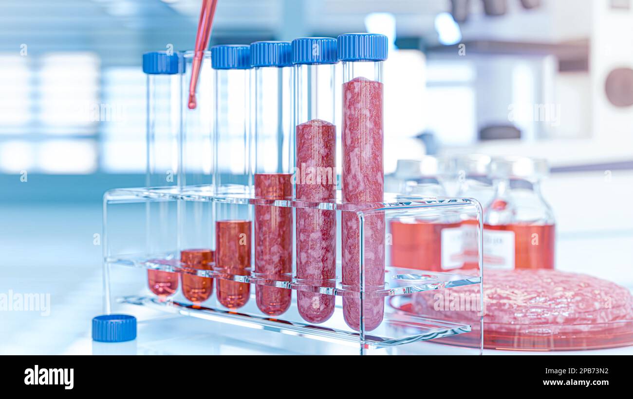 Beef grown in a laboratory in test tubes. The concept of in-vitro meat ...