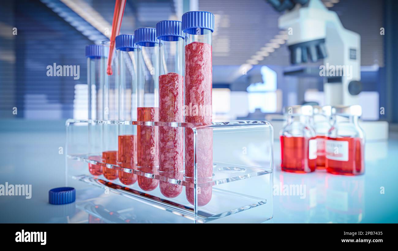 Beef grown in a laboratory in test tubes. The concept of in-vitro meat ...