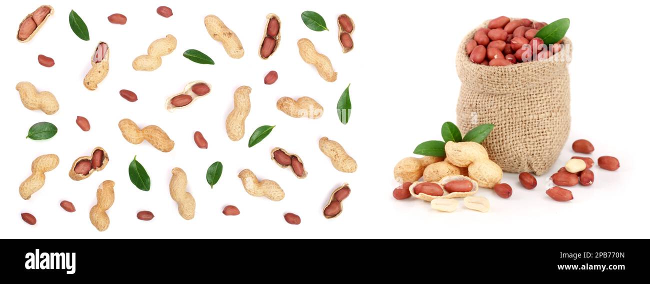 Peanuts with shells isolated on white background, top view. Flat lay ...