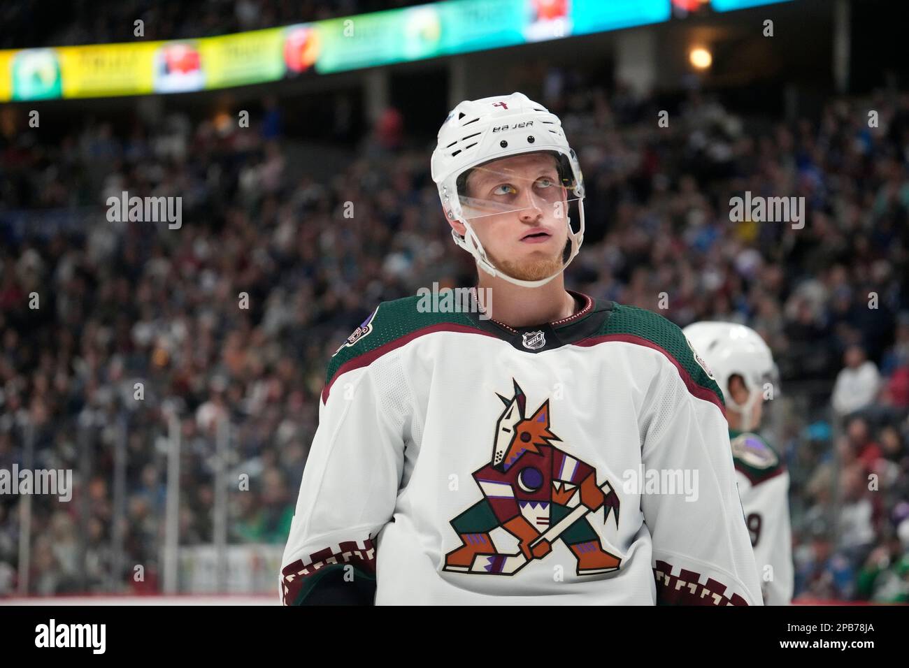 Arizona Coyotes defenseman Juuso Valimaki (4) in the first period of an ...