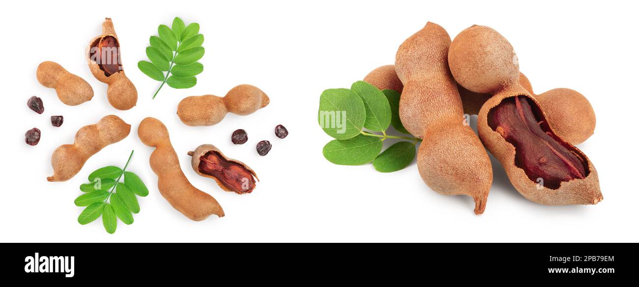 Tamarind fruit with leaf and seed isolated on white background, Top ...