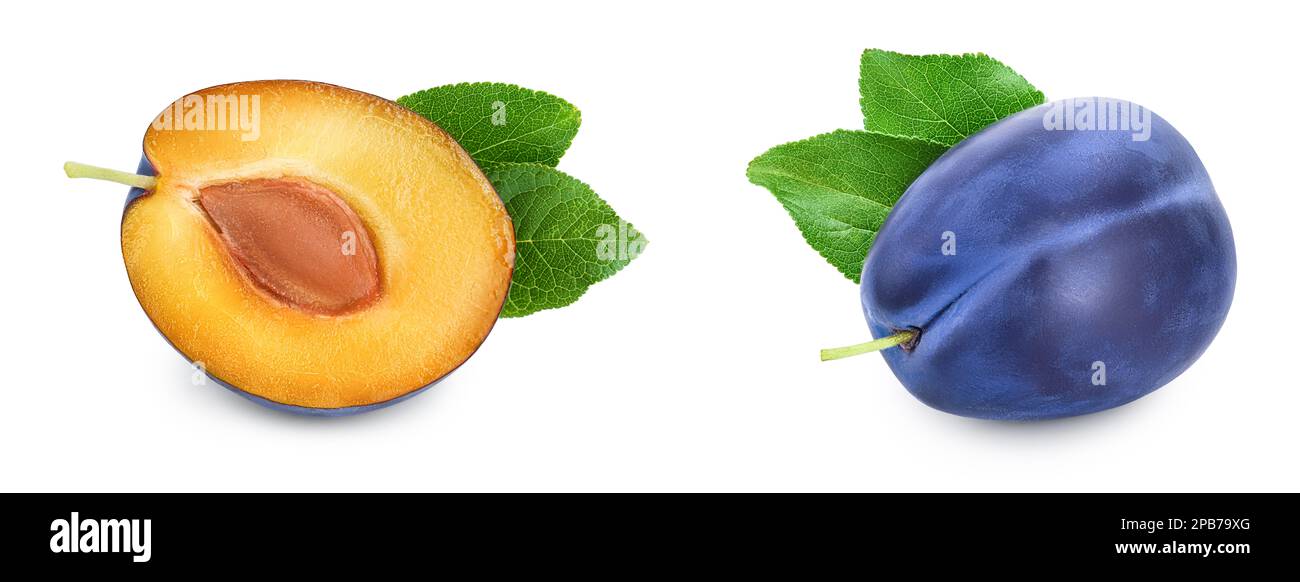 fresh blue plum half with leaves isolated on white background Stock ...