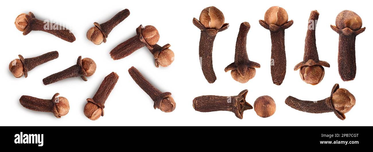 Dry spice cloves isolated on white background. Top view. Flat lay Stock ...