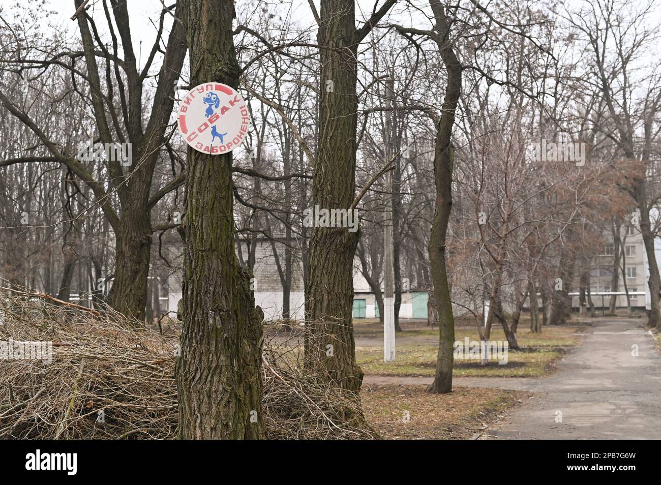 a sign on a tree with the inscription dog walking is prohibited. the ...