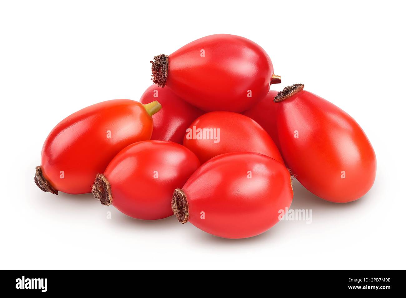 Rose hip isolated on a white background with full depth of field Stock ...