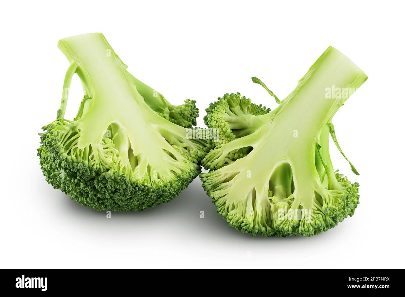 fresh broccoli isolated on white background close-up with full depth of ...