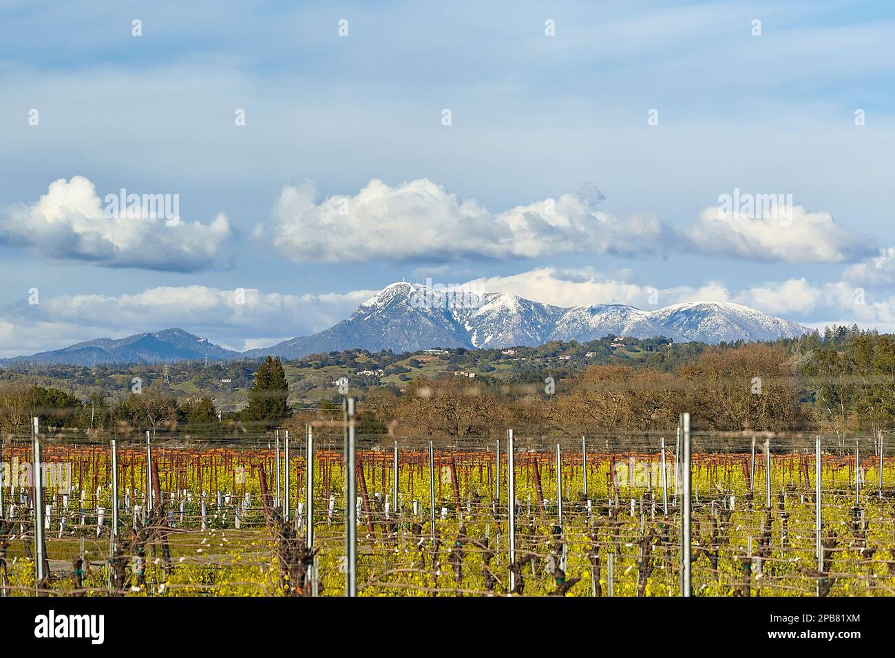Mount saint helena california hi-res stock photography and images - Alamy