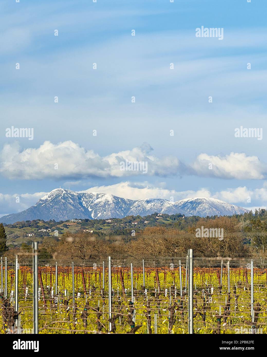 Mount saint helena california hi-res stock photography and images - Alamy