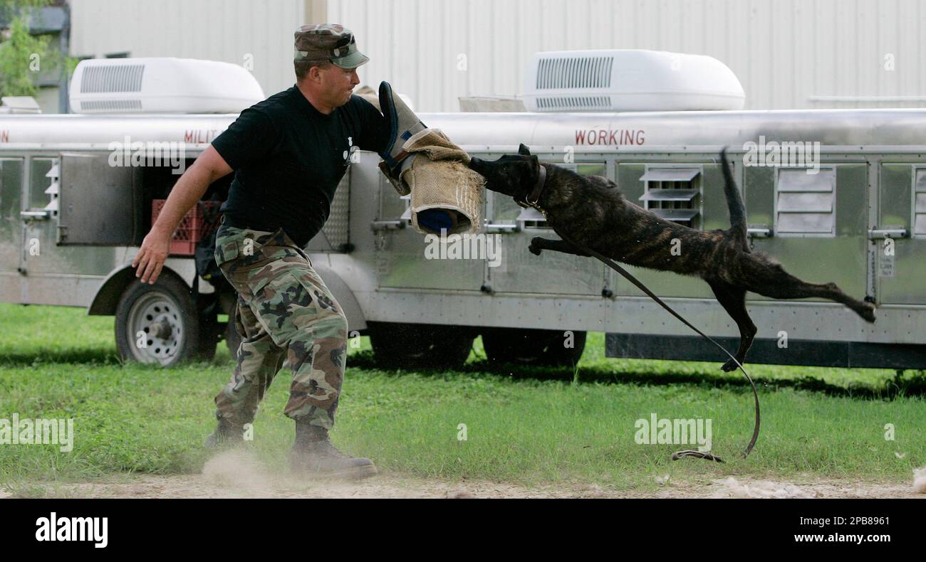 Dog handler Staff Sgt. David Adcox works with Military dog Kim during ...
