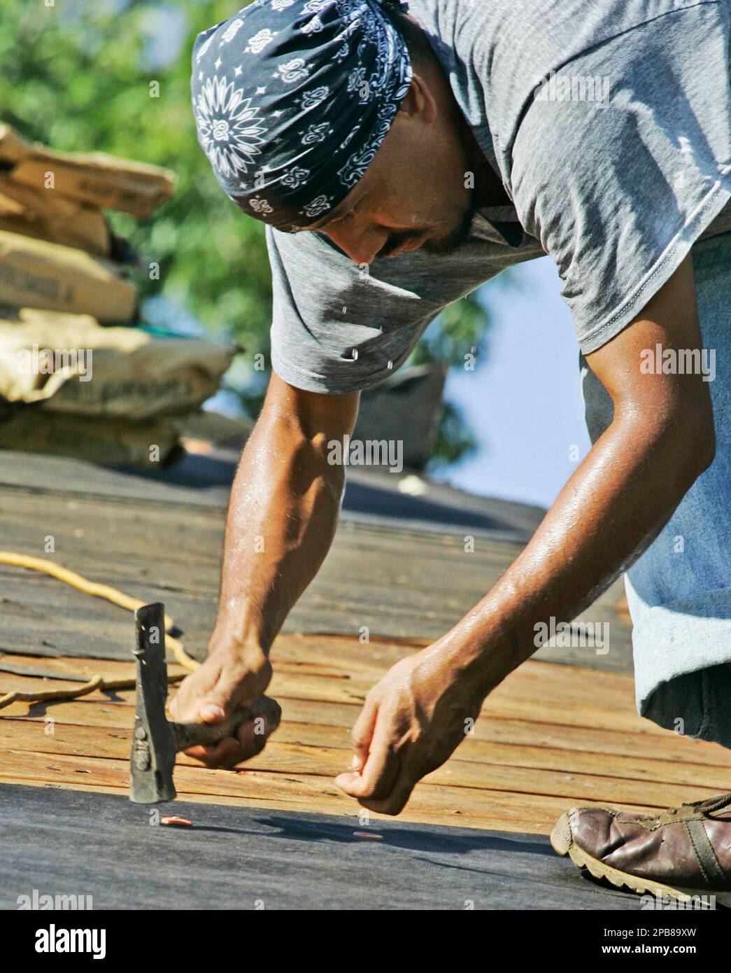 Sweat drips from the face of roofer Braulio Olivares as he installs a ...